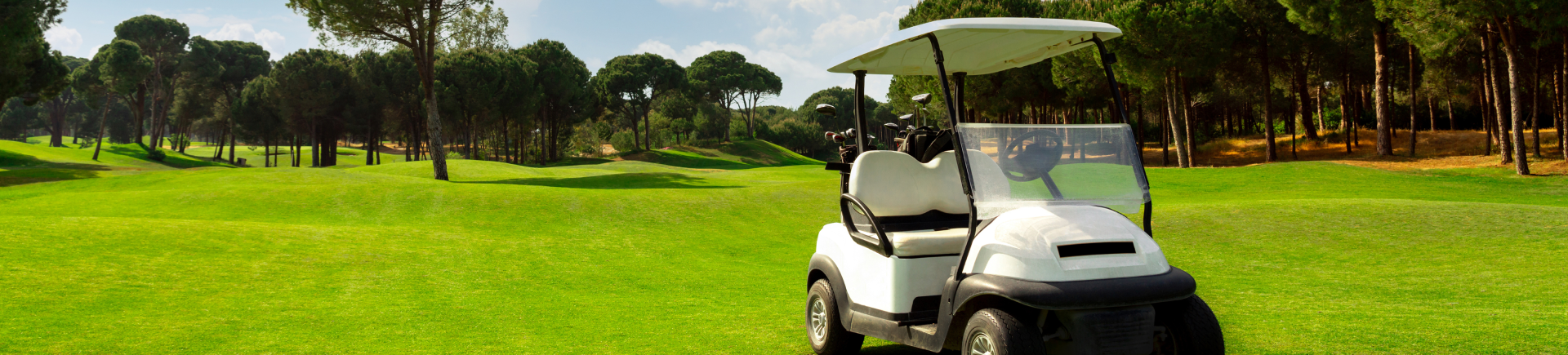 Golfscape - Golf Course Software and Web Application